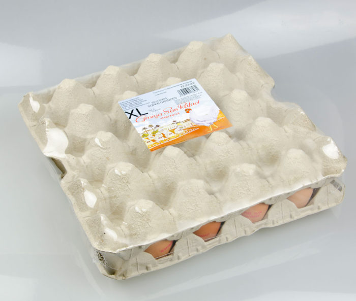 HuevosCamacho | Envases y comercialización